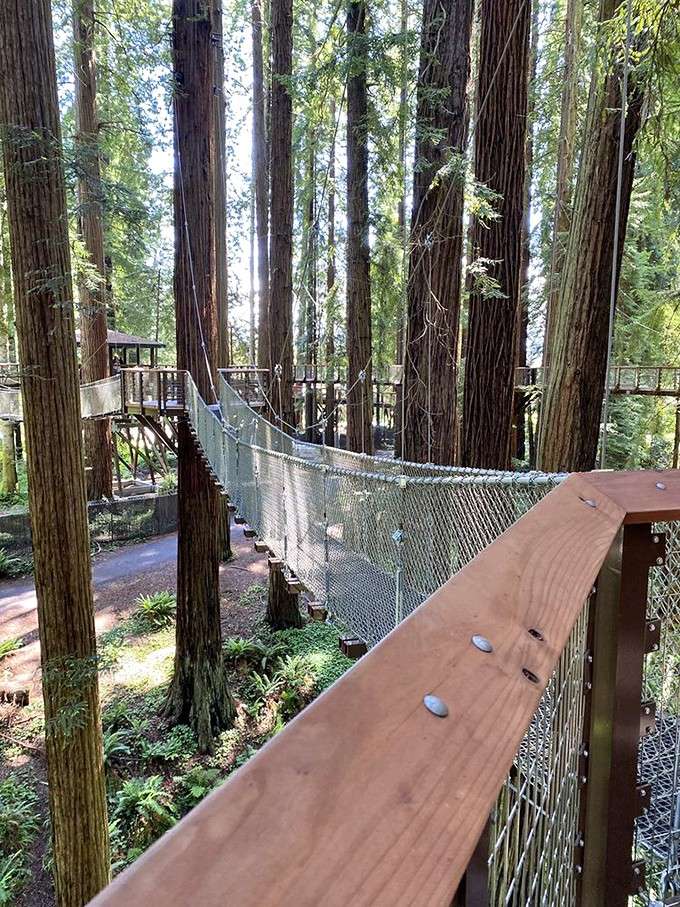 Mesh sides give you all the views without any of the "I might fall through" anxiety.