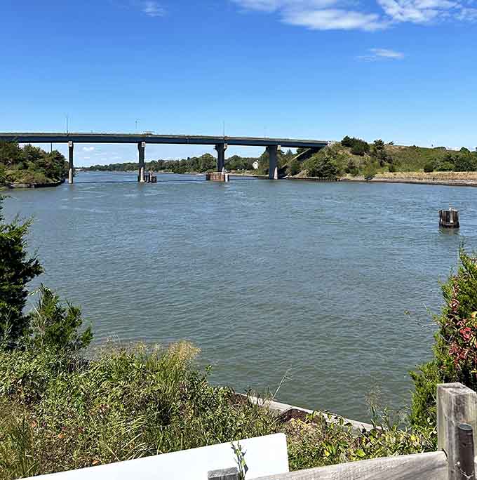 The Cape May Canal provides postcard-worthy views that make you forget you're technically exercising.
