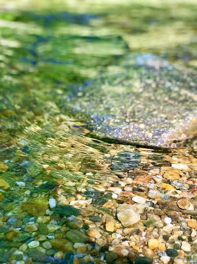Crystal-clear water reveals every pebble below, proving this swimming hole has nothing to hide.