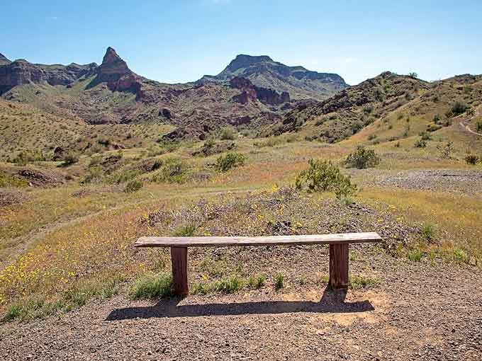 A solitary bench facing mountains that have been here longer than anyone's retirement plan, offering free therapy.