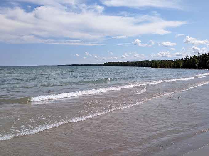 Gentle waves lap against pristine sand where the forest meets the shore in perfect Great Lakes harmony.
