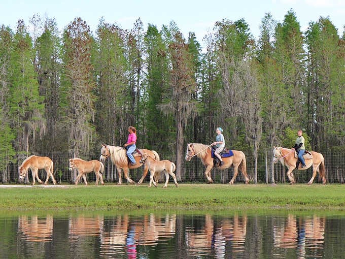 Horseback riding through safari territory, because apparently some people need their adventures with extra levels of awesome.