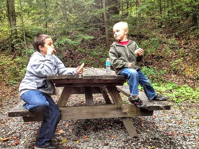The best conversations happen at picnic tables surrounded by trees instead of traffic and noise.