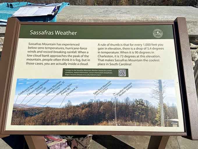 Educational markers teach you about mountain weather while you're literally standing in it&mdash;that's hands-on learning done right.