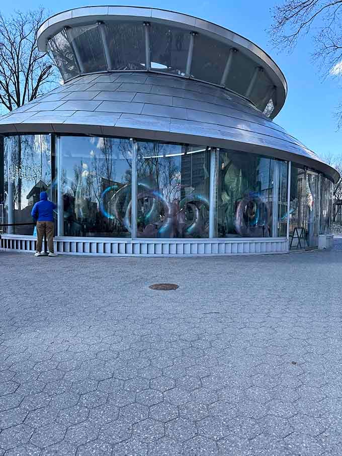 Through those curved windows, you'll glimpse the magical fish waiting to whisk you away on their spinning journey.