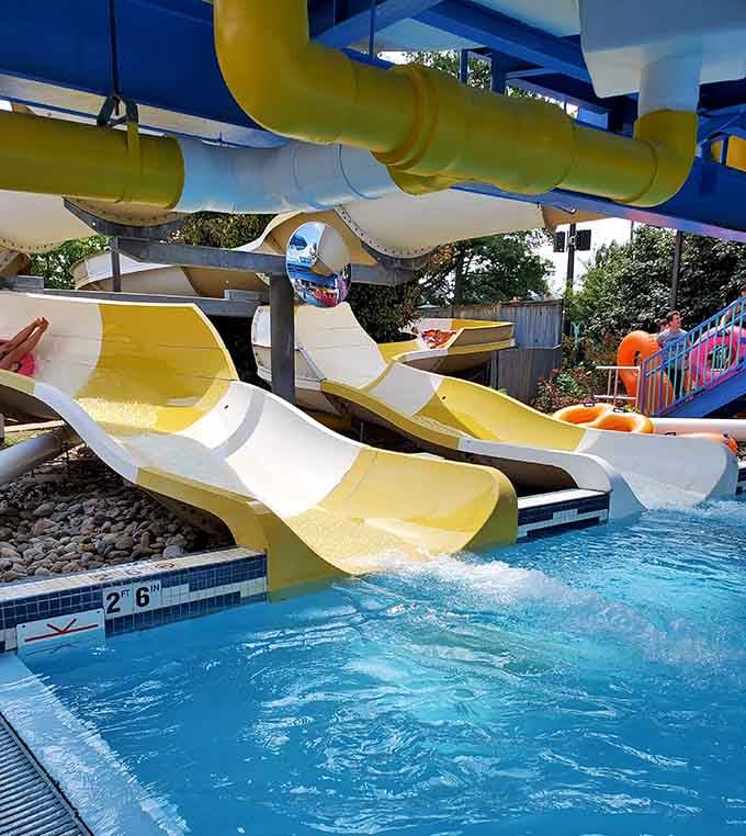 Multiple slides mean multiple chances to prove you're still young enough for this kind of fun.