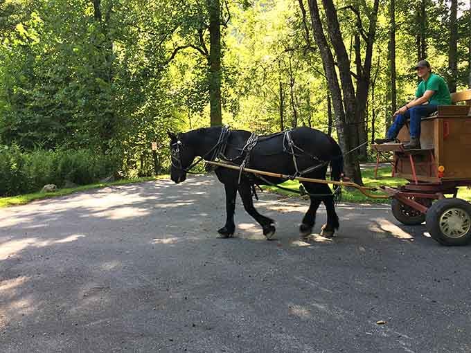Sometimes the old ways of traveling through these mountains still make the most practical sense around here.