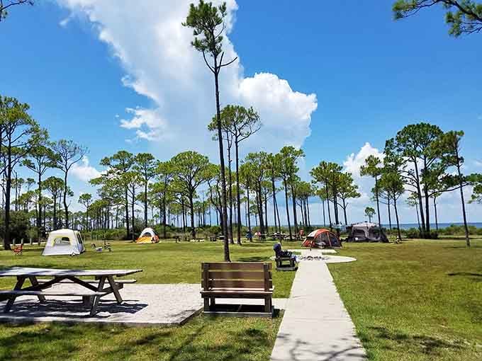 Camping under towering pines where your neighbors are measured in acres, not inches.