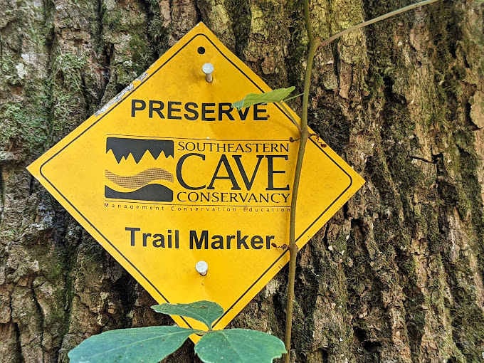 Following the yellow trail markers through Alabama wilderness, where every step brings you closer to something genuinely extraordinary and unforgettable.