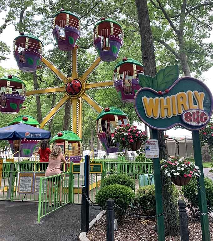 The Whirly Bug spins young adventurers in circles, teaching them early that life's best moments involve controlled chaos.