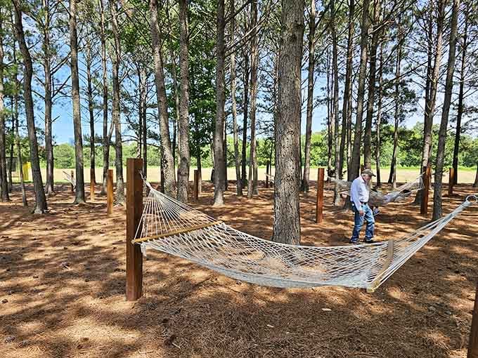 Hammocks nestled in the trees, inviting you to nap like you're retired even if you're not.
