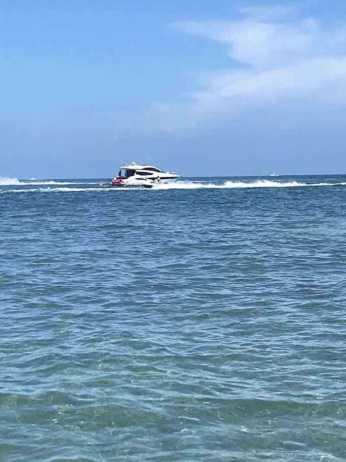 Even the passing boats seem to slow down here, like they're reluctant to leave this aquatic Eden behind.