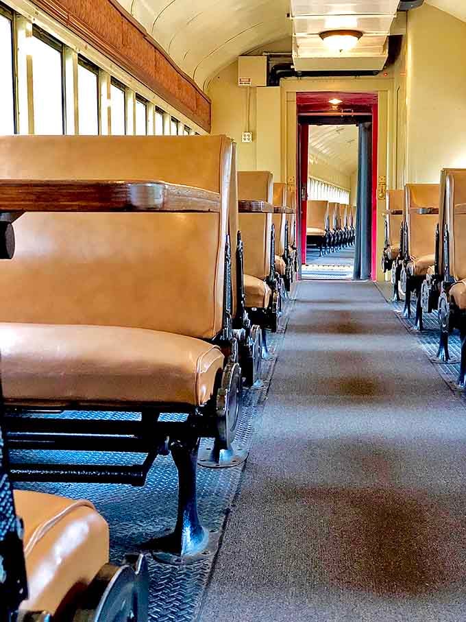 Rows of classic seats stretch toward adventure, each one offering front-row views to nature's greatest show.