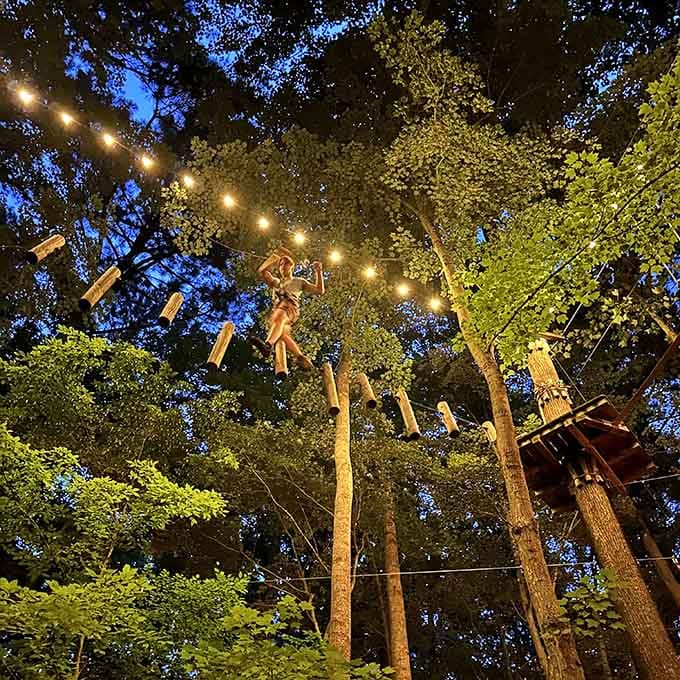 Test your balance high above the ground under a canopy of stars and strings of lights for the ultimate adventure.