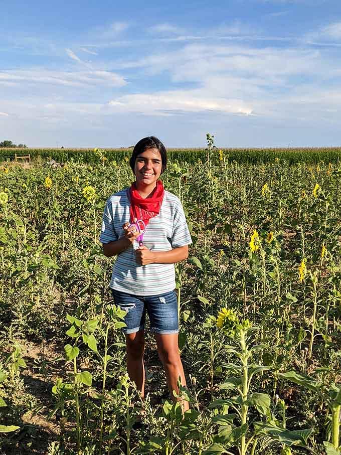 Visitors of all ages find themselves captivated by the sheer beauty of thousands of sunflowers in full bloom.