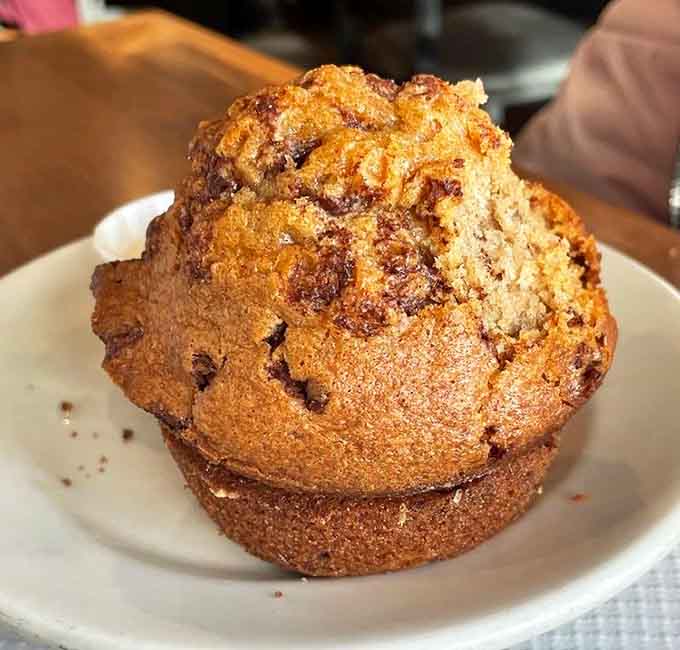 That muffin has achieved the perfect golden dome, like a delicious architectural achievement you can actually eat.