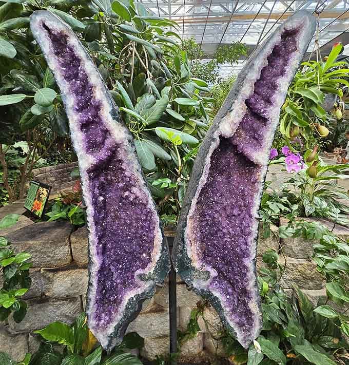 When butterflies need bling, they apparently commission amethyst geode wings that sparkle like disco balls.