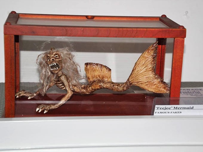 The Feejee Mermaid proves P.T. Barnum knew how to sell a story, even if this "mermaid" looks like she's having a bad day.