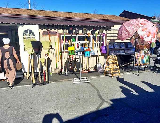 Garden tools and umbrellas hanging like an outdoor hardware store that somehow makes yard work seem almost appealing.