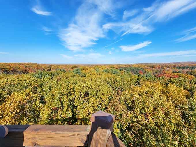 Autumn's grand finale, viewed from the best seats in the house that aren't actually seats.