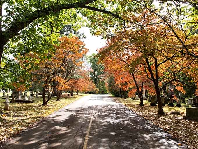 Fall foliage creates a tunnel of color that photographers dream about and visitors remember forever.