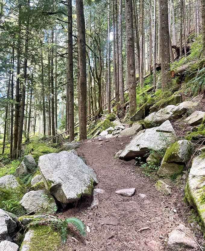 Rocky terrain that adds character to your hike, plus gives you legitimate reasons to watch your step carefully.