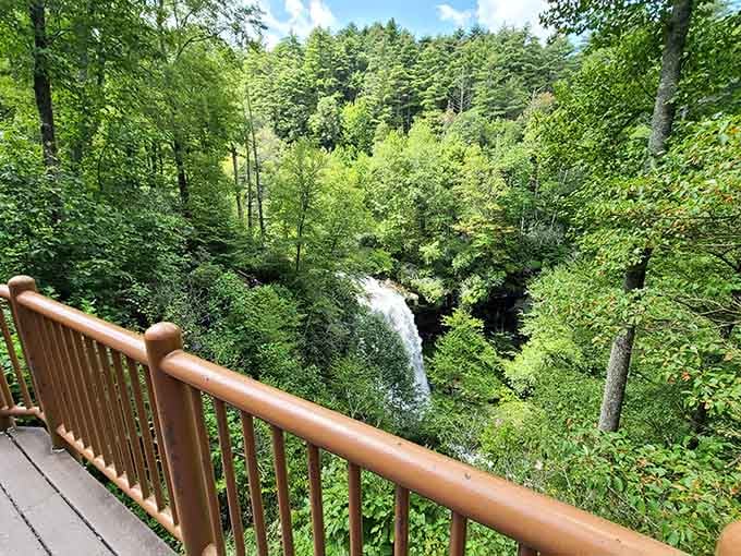 Lush greenery frames the waterfall like nature hired its own interior designer for this mountain masterpiece.