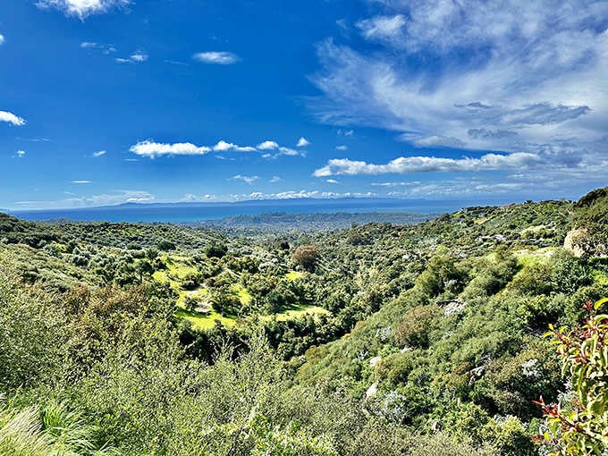 The canyon opens to reveal layers of vegetation climbing toward blue skies, like nature's version of a stadium seating arrangement.