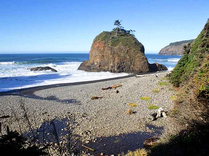 Short Beach delivers big views from its rocky shoreline, where tide pools become miniature ocean worlds.