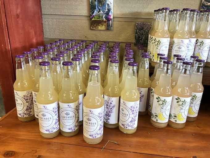 Bottled lemonade lined up like liquid sunshine, perfect for washing down all those cherries you're about to devour.