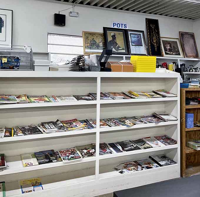 Magazine shelves stocked with reading material that could keep you entertained through multiple waiting room visits and rainy afternoons.