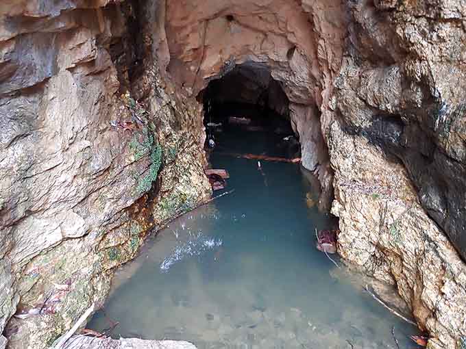 Nature's own secret hideaway, where water carves mysterious passages through ancient rock like a patient sculptor with all the time in the world.