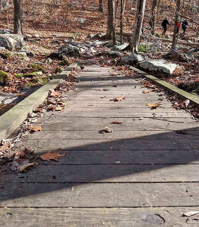 Boardwalks: because sometimes even nature lovers appreciate not getting their feet wet on the morning commute through paradise.