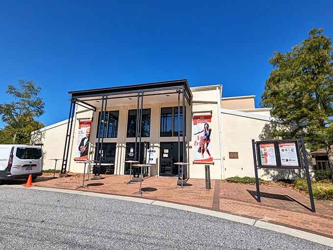 Tryon Fine Arts Center brings Broadway-caliber performances to the mountains without Broadway-sized ticket prices or parking nightmares.