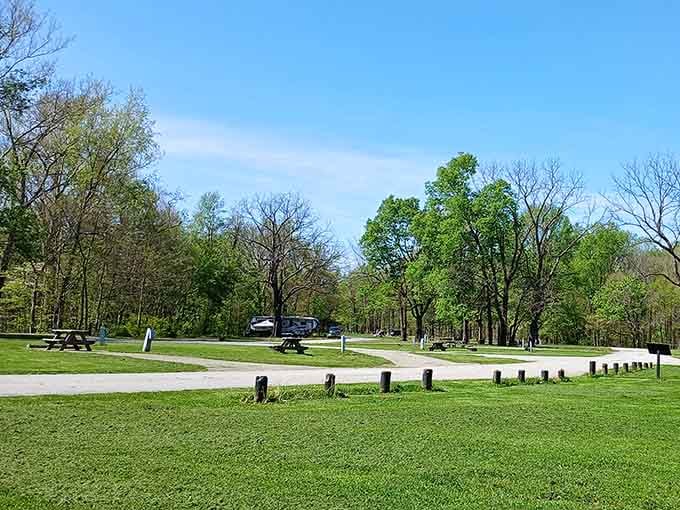 Spacious campsites spread across manicured lawns, providing modern comfort in the heart of wilderness beauty.