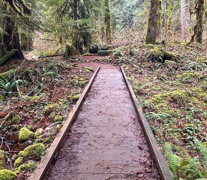 These mini boardwalks save you from the muddy fate that awaits overconfident hikers who think their sneakers are waterproof.