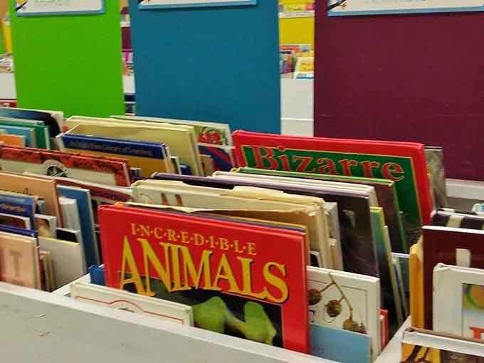 Bright board books featuring incredible animals spark curiosity in tiny hands and create memories for growing minds.