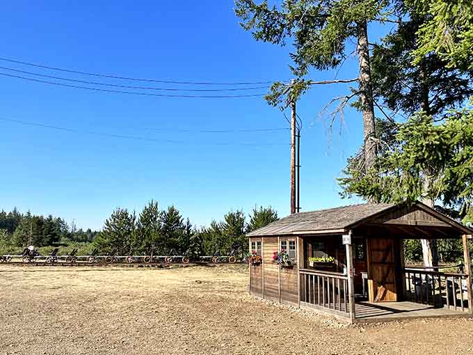 The rustic check-in area sets the tone for an adventure that feels authentically Pacific Northwest.