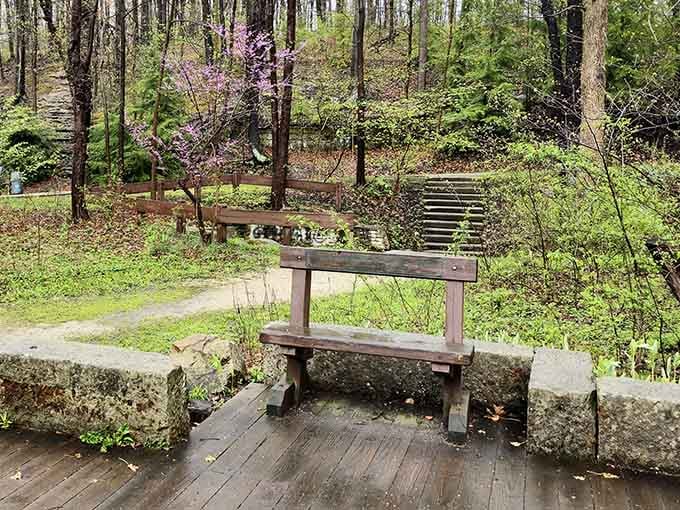 Simple wooden benches offer front-row seats to the gorge's natural theater, no ticket required.