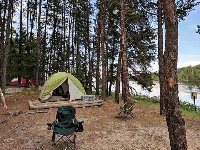 Pitch your tent where the pines meet the shore and discover why "roughing it" feels surprisingly civilized here.