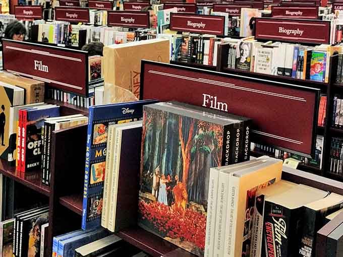From film buffs to biography readers, every genre gets its moment in this perfectly organized paradise.