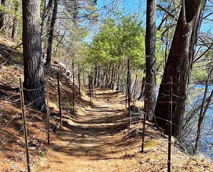 This shaded section of trail offers respite from summer sun and perfect Instagram lighting year-round, honestly.