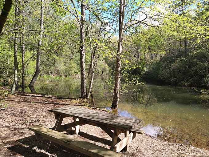 Peaceful picnic spots dot the landscape, perfect for sandwiches that cost less than fancy coffee.
