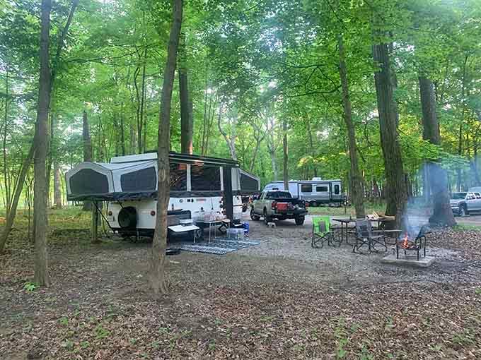 Pop-up campers and RVs nestle under the trees like they've found their natural habitat for the weekend.