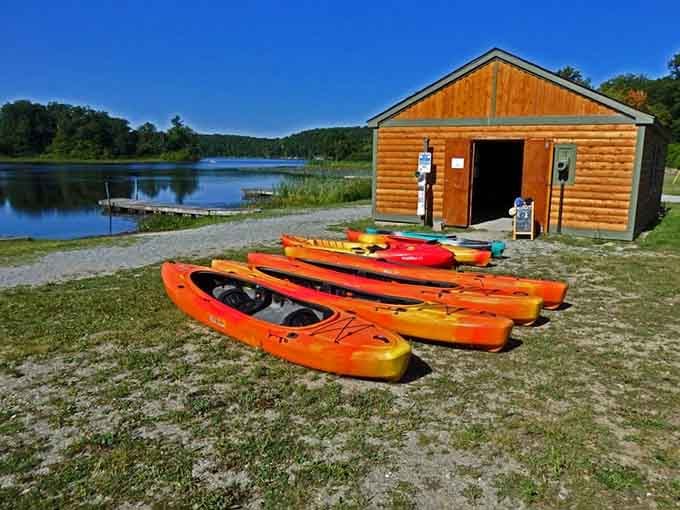 Bright kayaks lined up and ready for adventure, because sometimes the best therapy involves a paddle and open water.