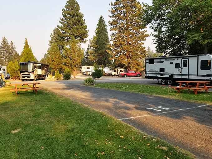 RV parks nestled among the pines, where your neighbors are friendly and your overhead costs are wonderfully low.