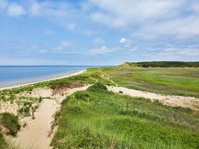Sandy trails wind through peaceful forests where your biggest worry is which trail to explore next.