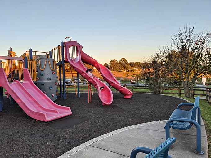 Pink slides gleaming in golden hour light, waiting to launch another generation of thrill-seekers three feet high.