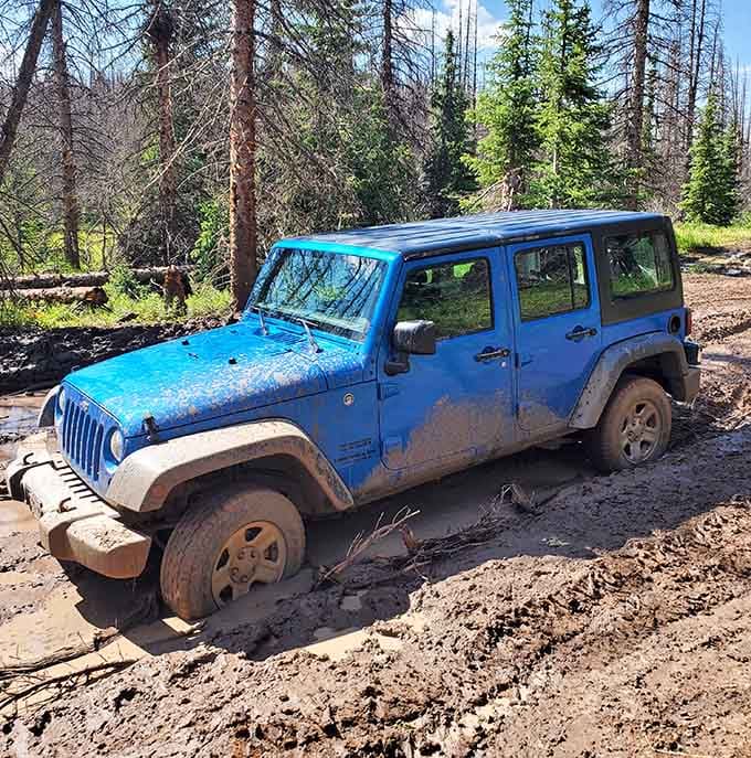 That blue Jeep's mud-splattered glory tells the story of an epic journey through Colorado's wildest backcountry terrain.