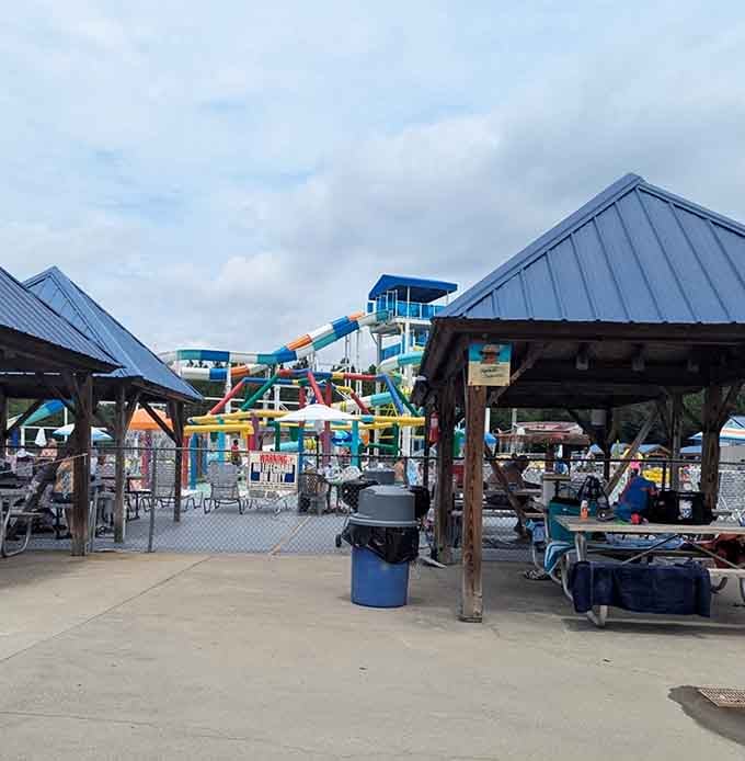 Shaded picnic areas where parents recover their sanity between rounds of "watch me go down the slide again!"